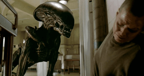 From Prometheus through Romulus (and beyond!), here's how to Watch the ...