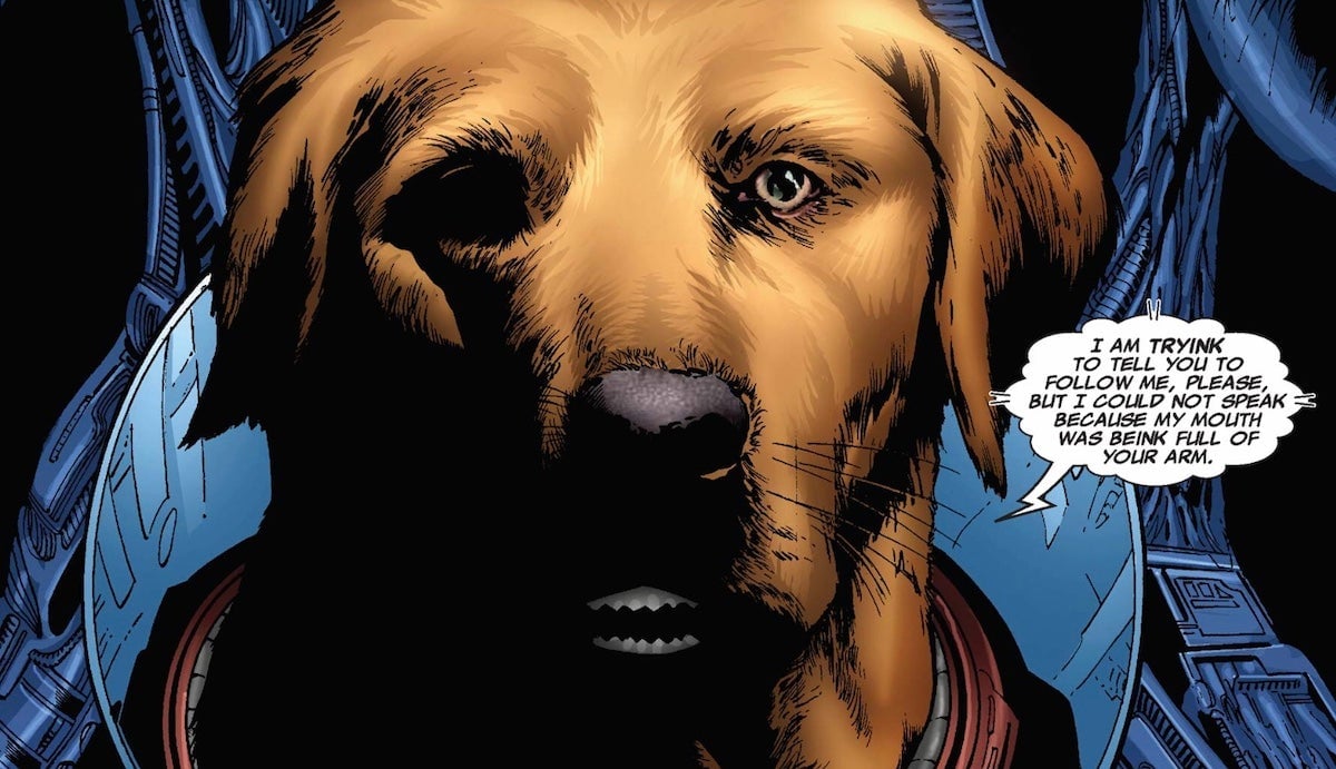 Cosmo the Space Dog: Get to know the breakout star of Marvel Studios ...