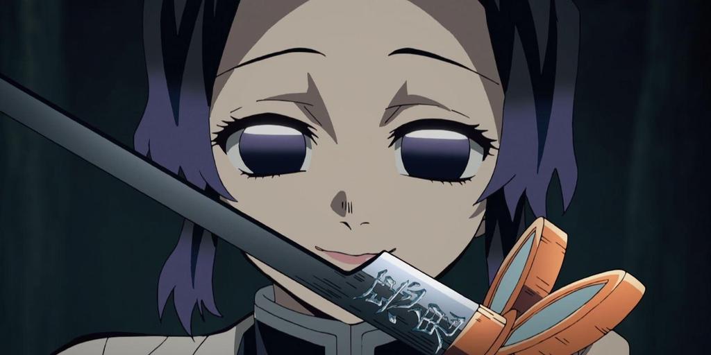 Demon Slayer: Kimetsu no Yaiyba Hashira - who are these powerful and ...