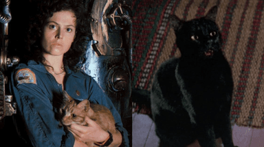 Remembering Jonesy, the best-written cat in film, on this Alien Day ...