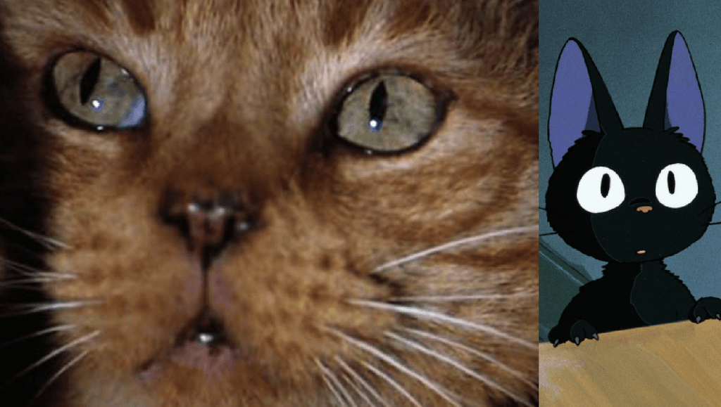 Remembering Jonesy, the best-written cat in film, on this Alien Day ...