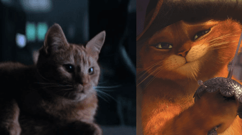 Remembering Jonesy, the best-written cat in film, on this Alien Day ...