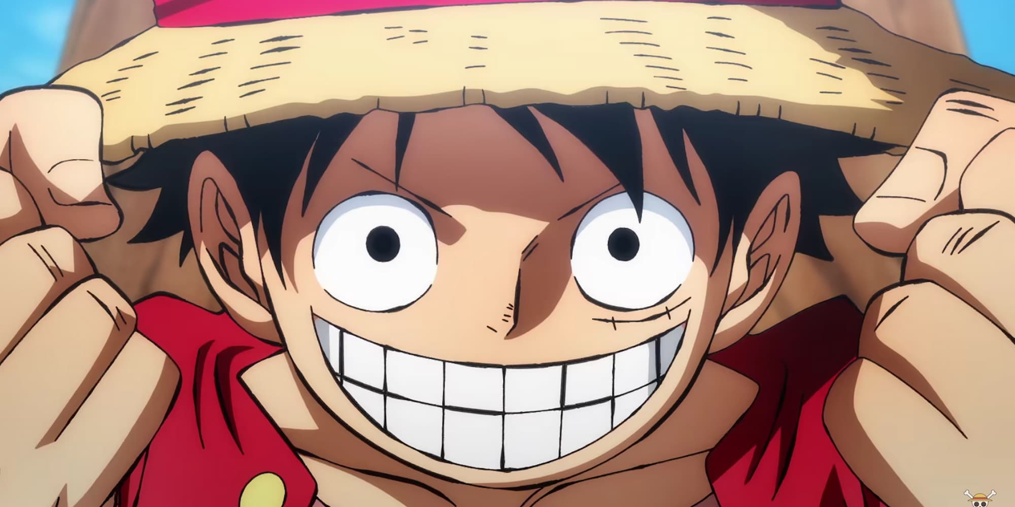 Wondering what ethnicity and nationality the One Piece pirates are ...