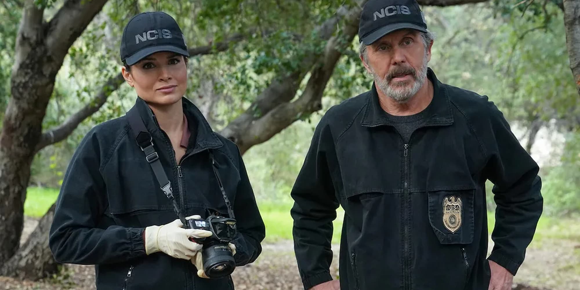 How to watch NCIS and its spinoff shows in release and chronological ...