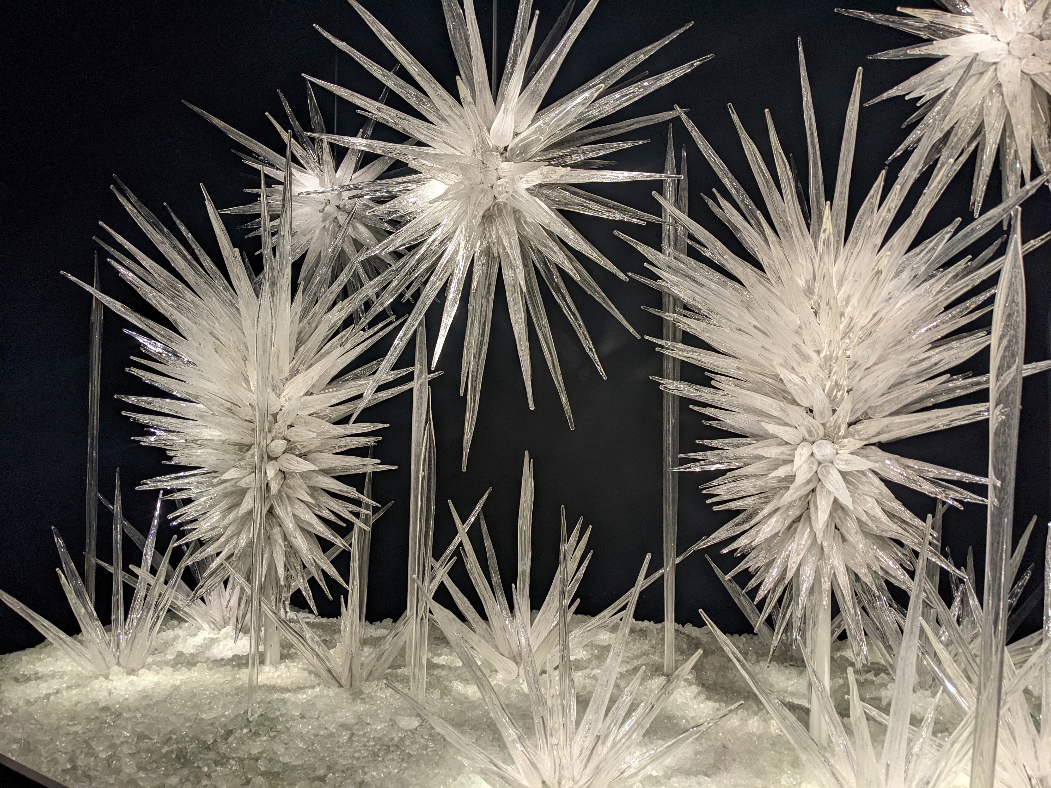 Spring in Seattle: What to do when you're in town for Emerald City ...