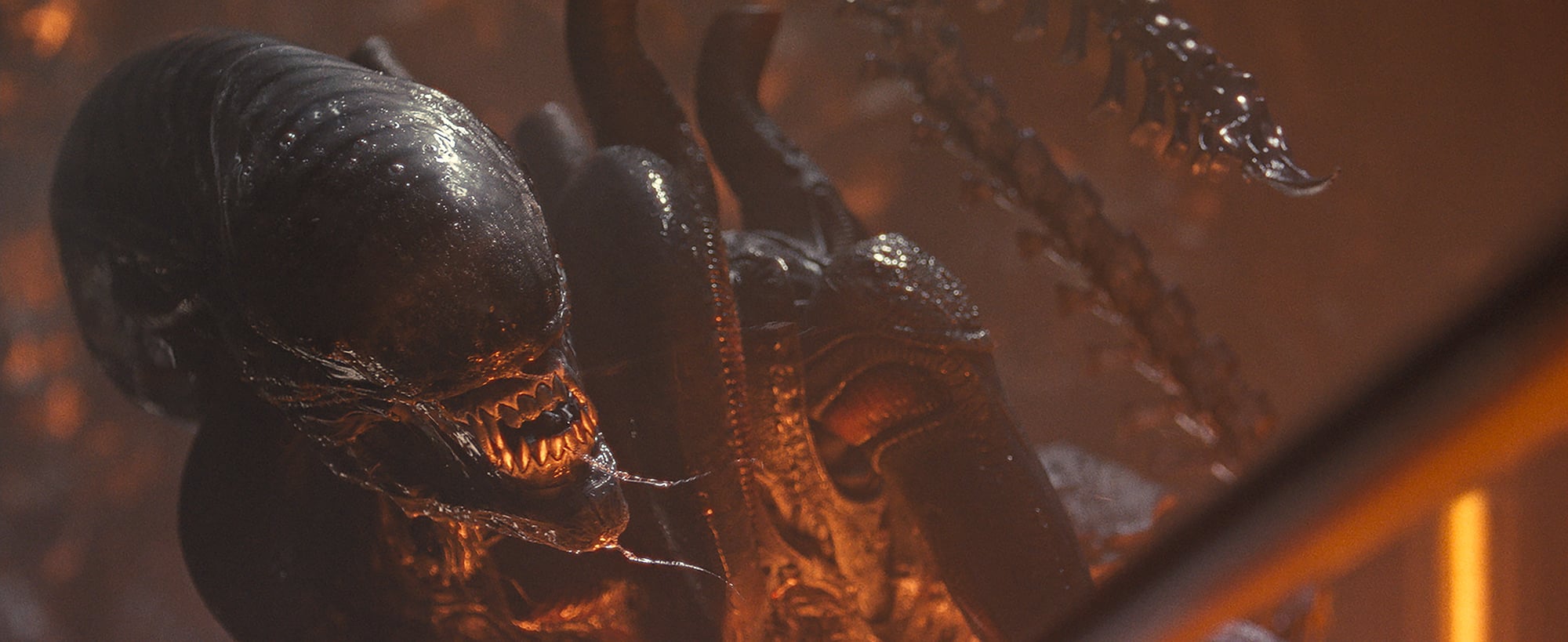 From Prometheus through Romulus (and beyond!), here's how to Watch the ...