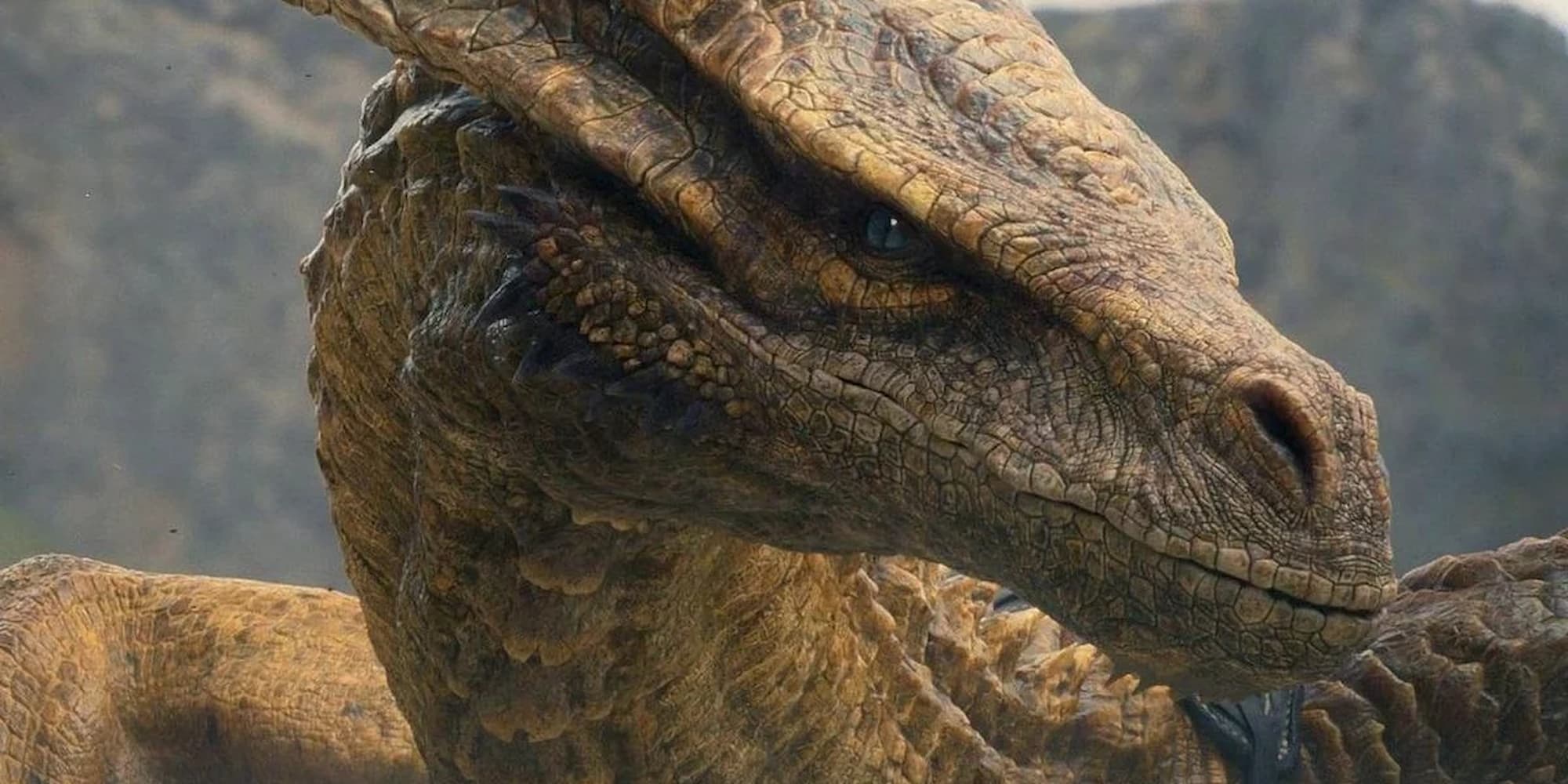 Game of Thrones dragons: A complete guide to the 13 dragons including ...