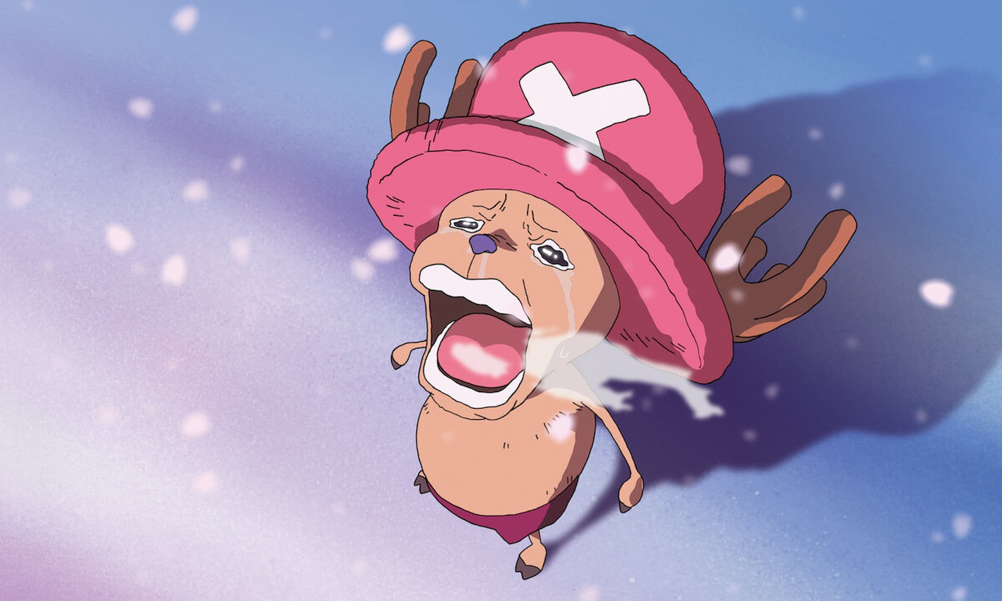 Netflix is releasing their own One Piece anime! Here is everything we ...